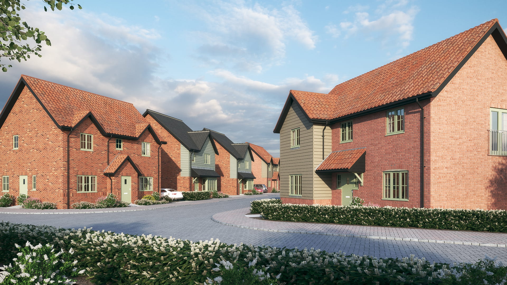 Oak Tree View | case study